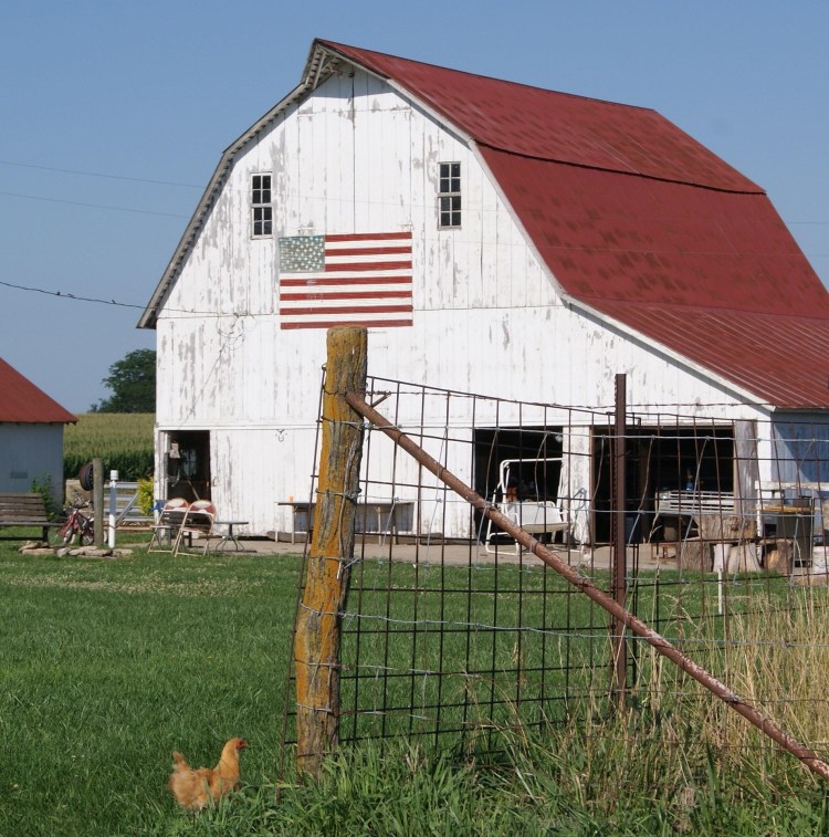 Homestead vs Small Farm vs Hobby Farm – Anything Agriculture